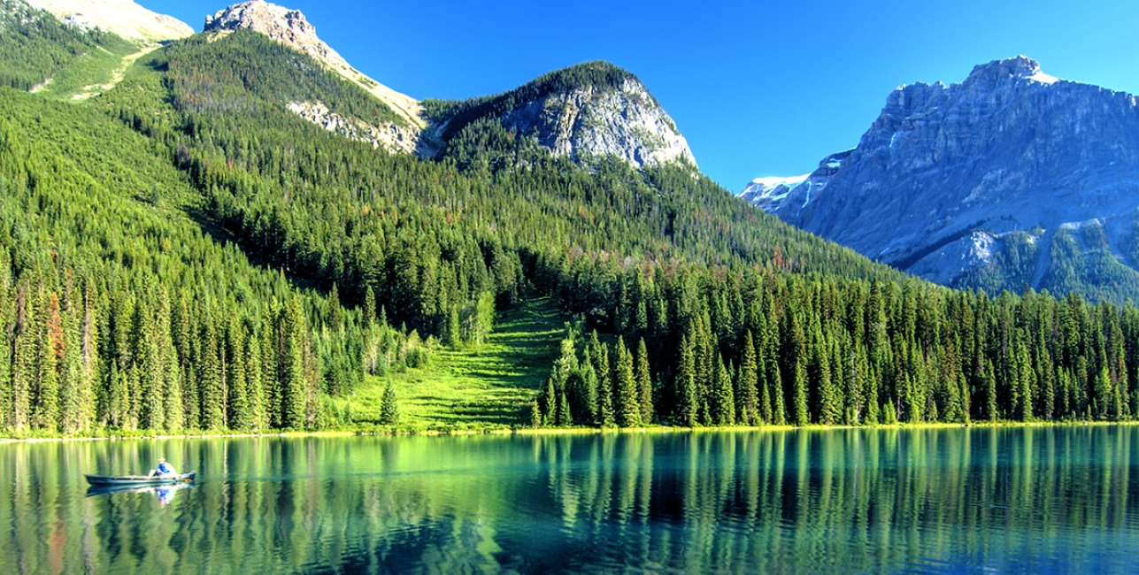 Canadian Rockies Discovery Eastbound | Amtrak Vacations®